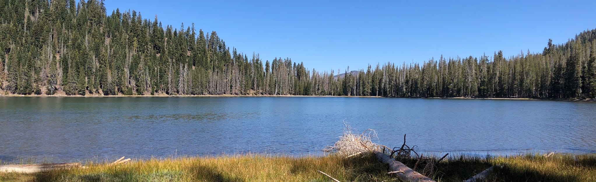 Lower Twin and Snag Lakes Loop, California - 13 Reviews, Map | AllTrails