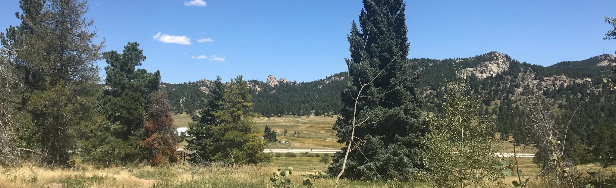 Sunny Aspen, Old Ski Run, and Lodge Pole Loop, Colorado - 3,266 Reviews ...