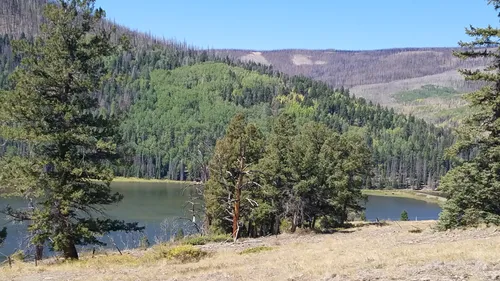 10 Best Lake Trails in Rio Grande National Forest, Divide Ranger ...