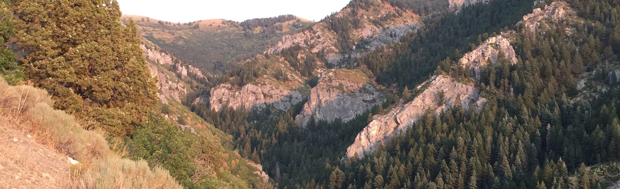 Coldwater Creek, Utah - 659 Reviews, Map | AllTrails