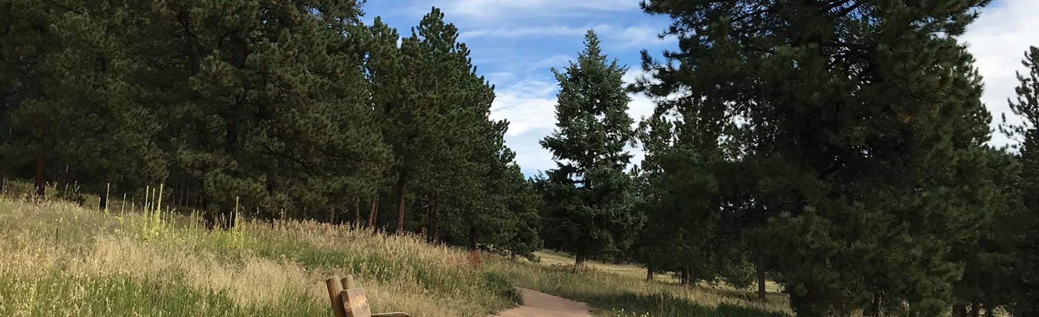 Aviator Trail via Shadow Pine Loop: 81 Reviews, Map - Colorado | AllTrails