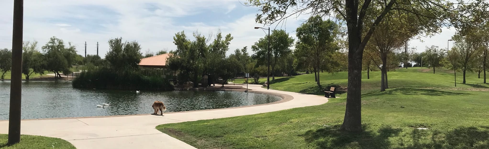 Discovery Park Loop | Map, Guide - Arizona | AllTrails