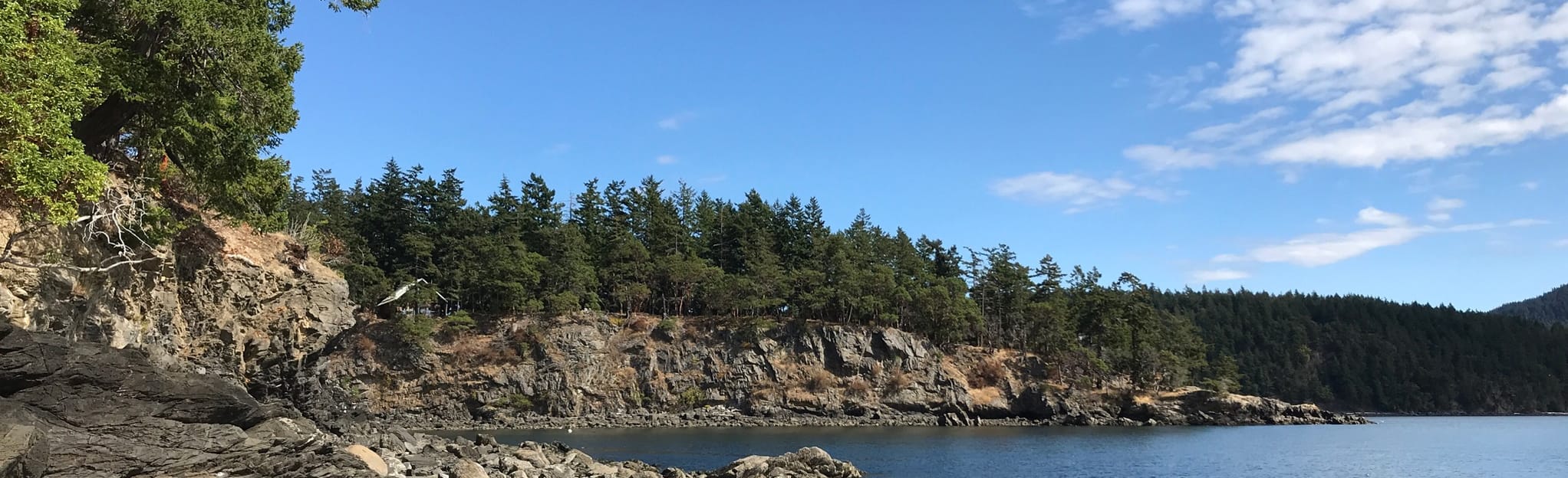 Obstruction Pass Trail - Washington | AllTrails