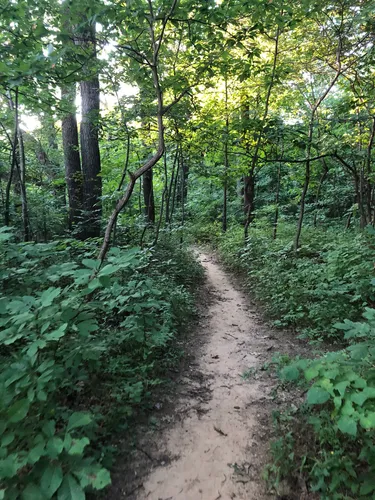 Best Hikes and Trails in Clay Park | AllTrails