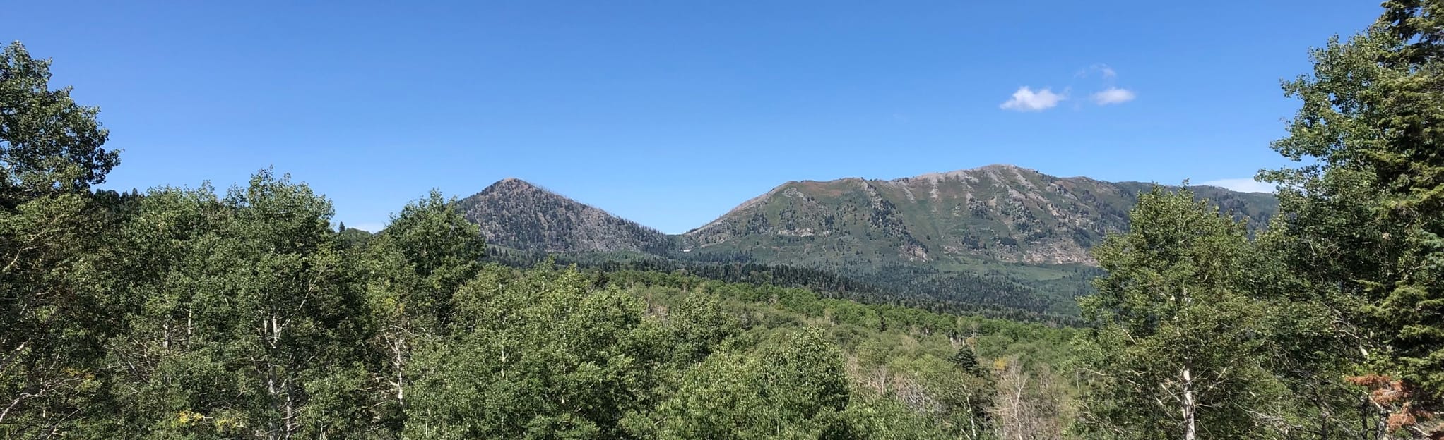 Lizard Lake Trail, Utah - 50 Reviews, Map | AllTrails