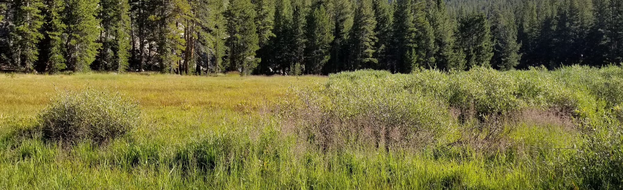Florence Lake to Edison Lake via John Muir Trail | Map, Guide ...