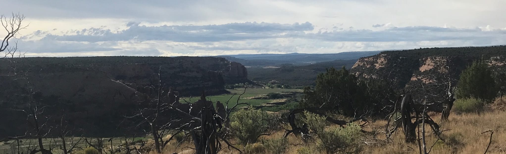 Jones Canyon Trail | Map, Guide - Colorado | AllTrails