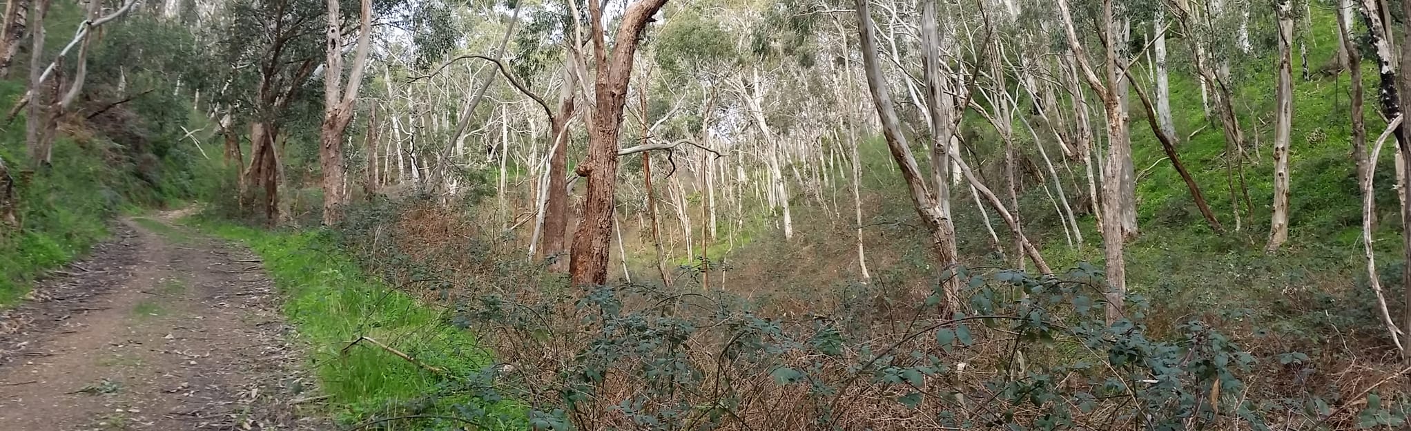 Horsnell Gully and Giles Conservation Park Circuit, South Australia ...