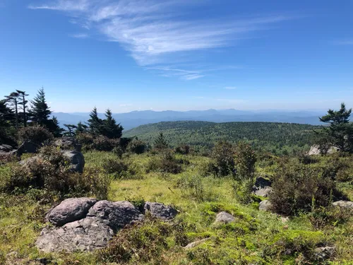 Best 10 Hikes and Trails in Jefferson National Forest | AllTrails