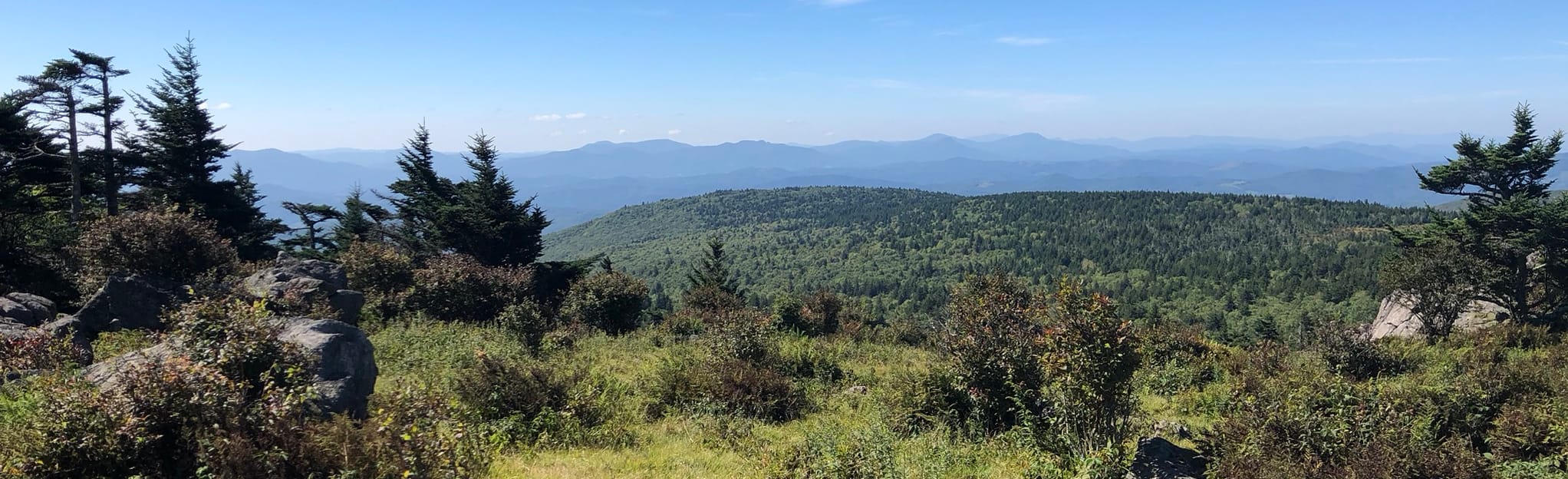 Mount Rogers Trail, Virginia - 379 Reviews, Map | AllTrails