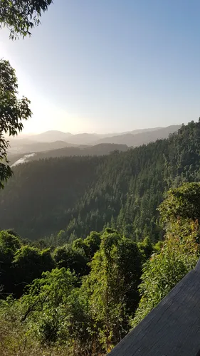 Best Hikes and Trails in Imbil State Forest 1 | AllTrails