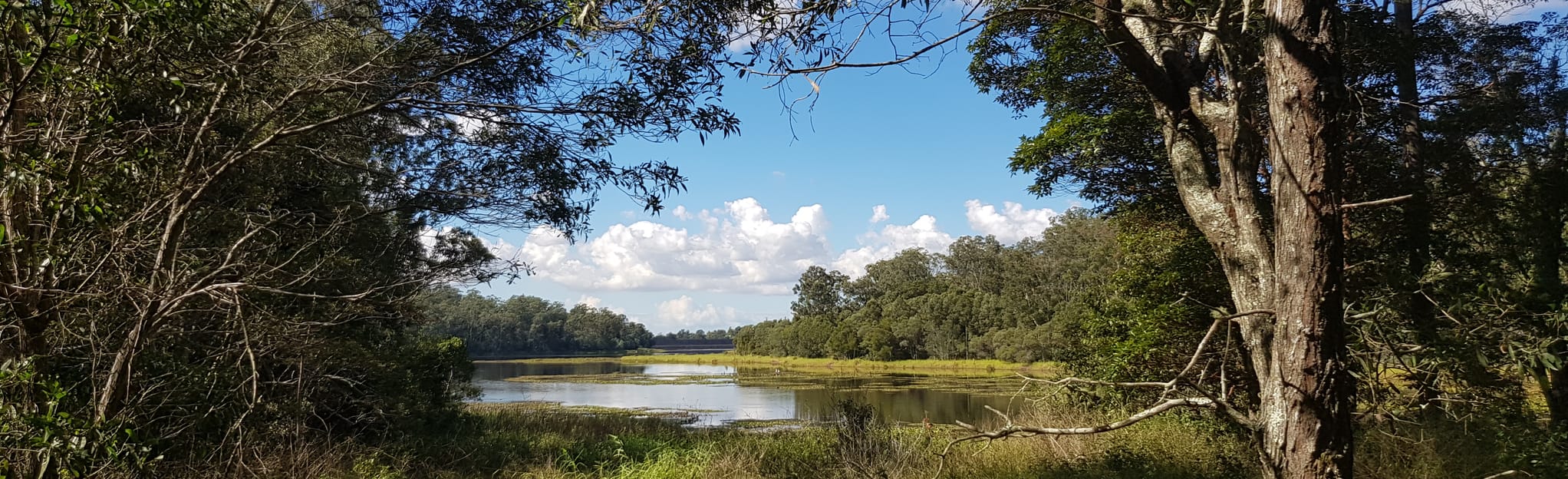Holman’s Break Loop | Map, Guide - Queensland, Australia | AllTrails
