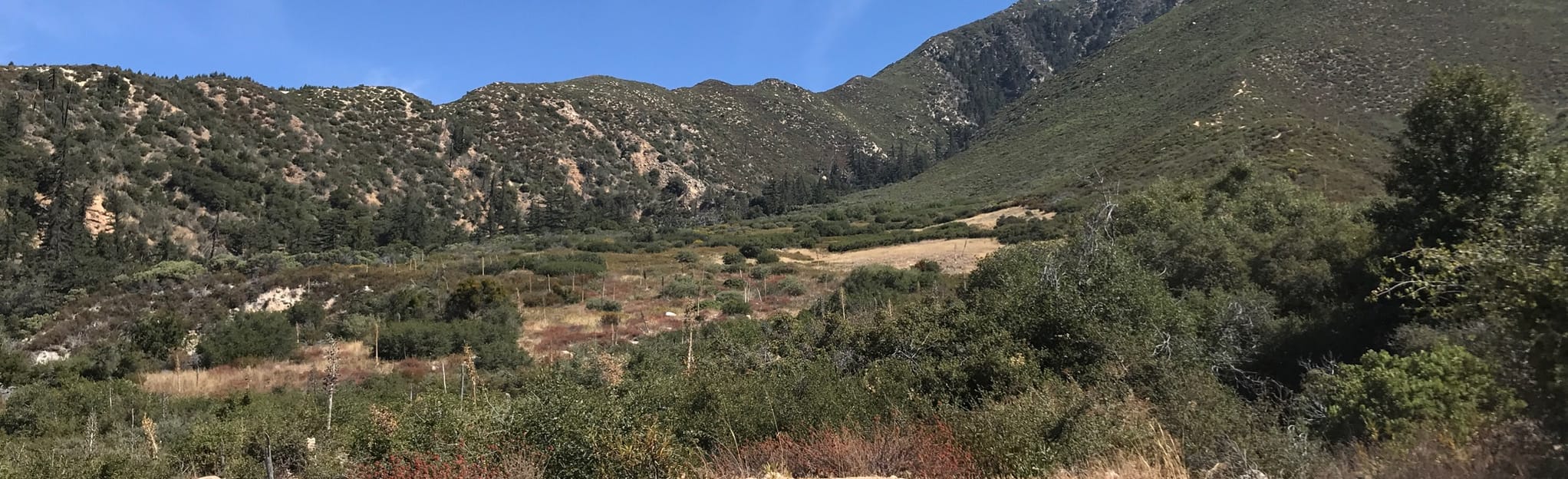 Old City Creek OHV Road, California - 104 Reviews, Map | AllTrails