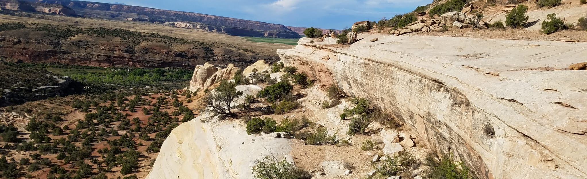 Rabbit Valley to Western Rim Loop: 35 Reviews, Map - Utah | AllTrails