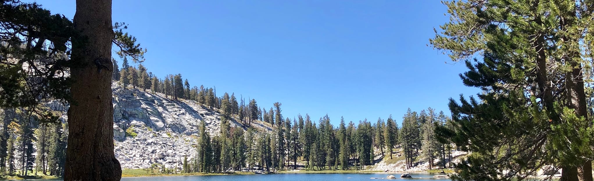 Weaver Lake Trail, California - 866 Reviews, Map | AllTrails