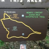Hearts Content National Scenic Area Trail, Pennsylvania - 122 Reviews ...