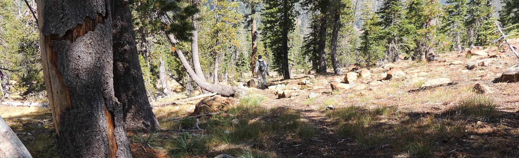 North Fork Sacramento River and Toad Lake Loop: 6 Reviews, Map ...