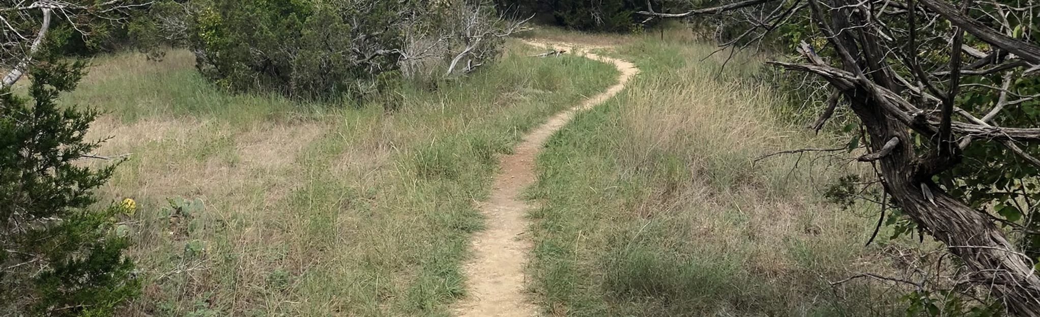 Rocky Ridge Trail via Cedar Ridge Outer Trail: 123 Reviews, Map - Texas ...
