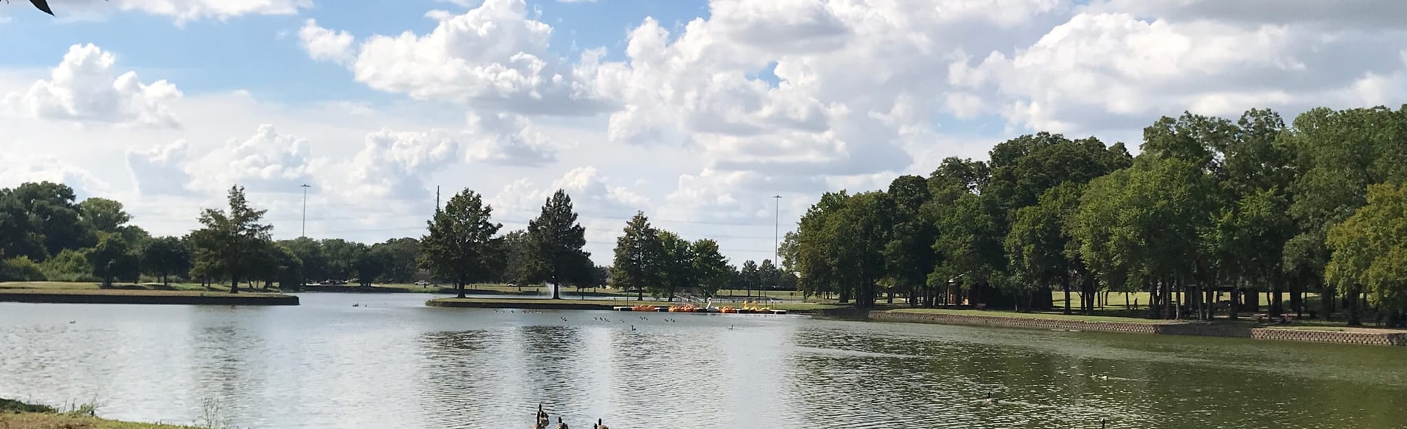 Wilson Creek Trail: 296 Reviews, Map - Texas | AllTrails