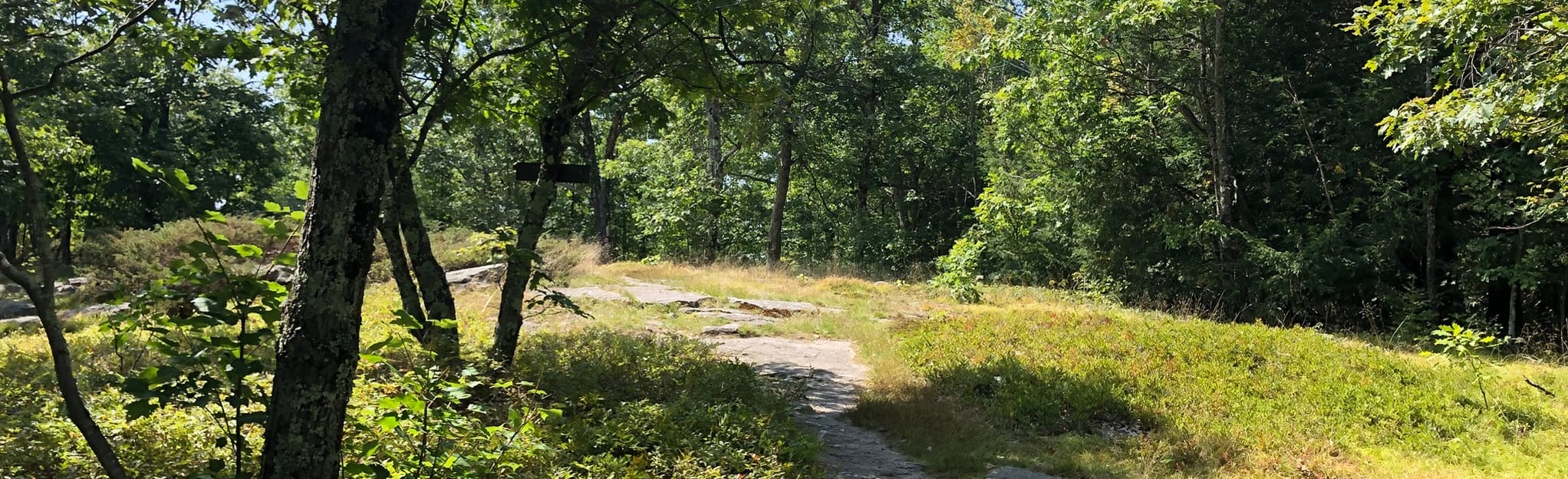 North Uncanoonuc Mountain via White Dot and Red Dot Trail : 344 Reviews ...