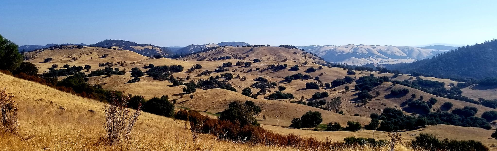 West Ridge Trail and West Ravine Trail Loop: 134 Reviews, Map ...