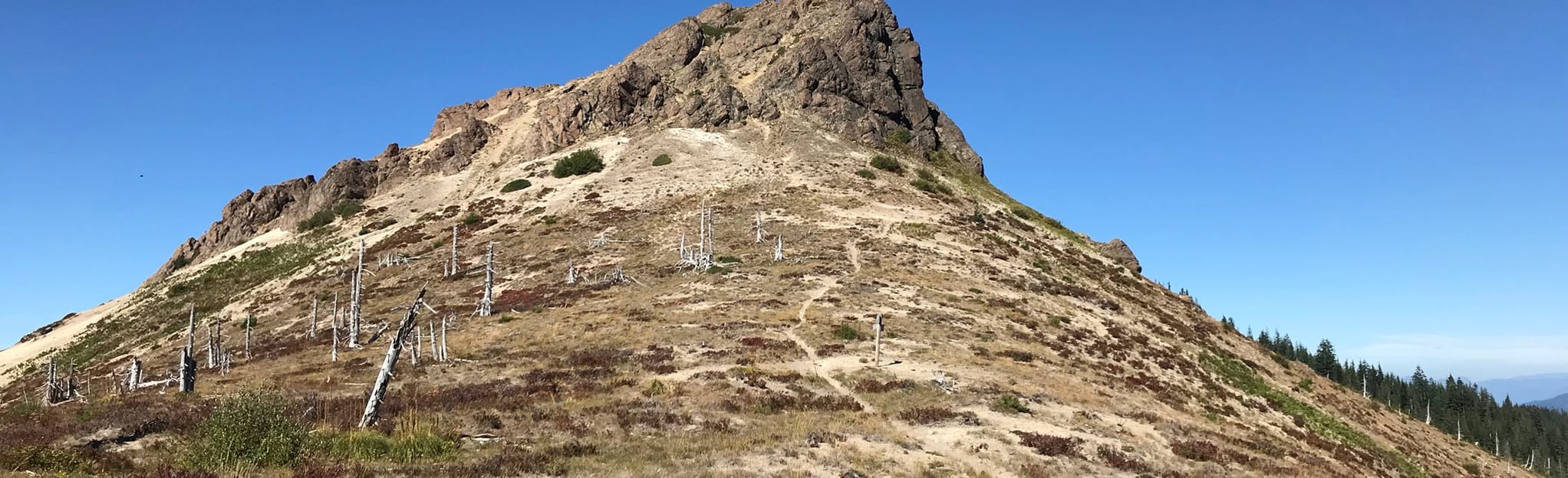 Strawberry Mountain Trail - Washington | AllTrails