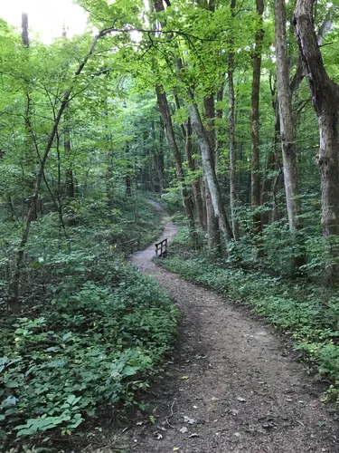 10 Best Trails and Hikes in Bloomington | AllTrails