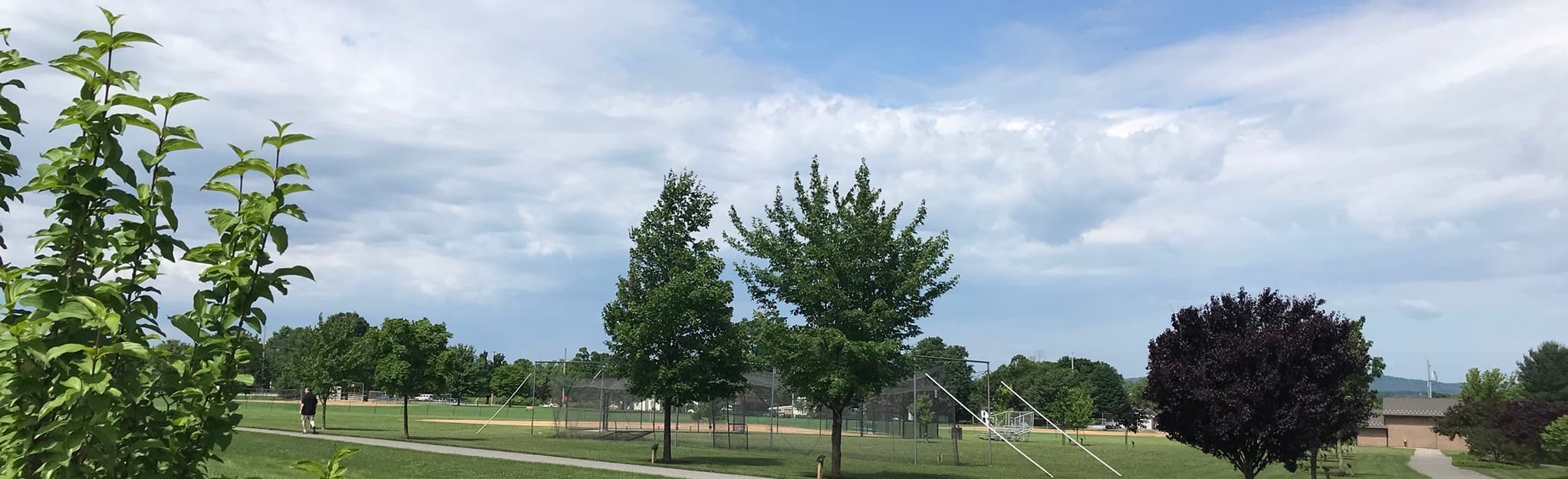 Cousler Park Loop: 25 foto - Pennsylvania | AllTrails