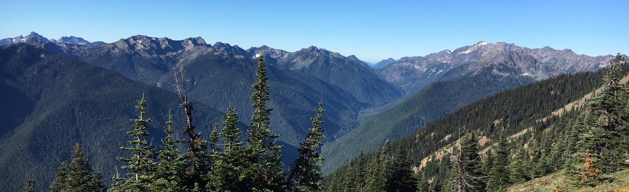 Upper Dungeness Trail to Constance Pass trail Junction, Washington - 65 ...