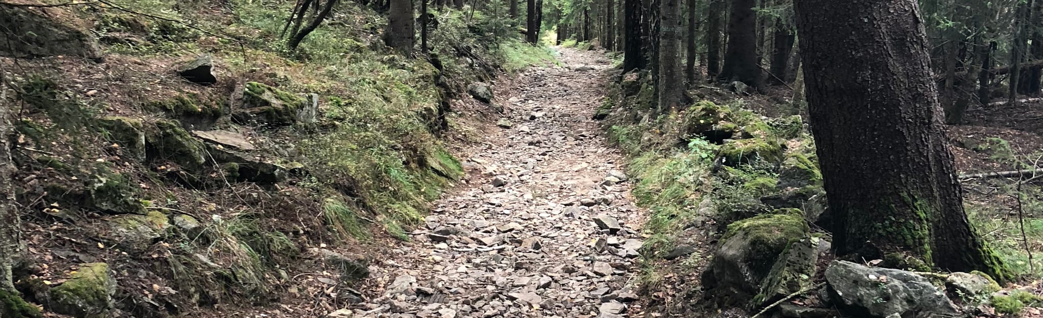 Vaggestein-Tomtehytta: 18 foto's - Oslo, Noorwegen | Wandelen - AllTrails