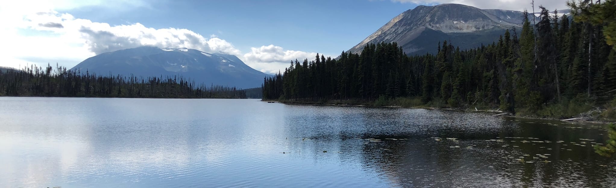 Hunlen Falls, British Columbia, Canada - 14 Reviews, Map | AllTrails