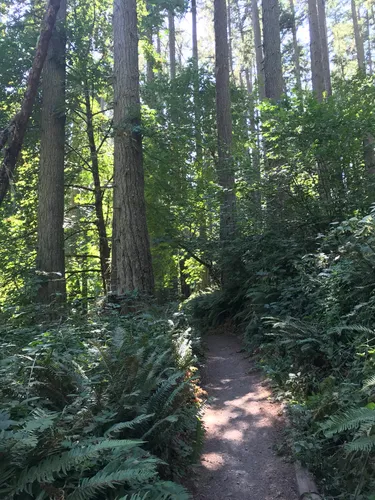 10 Best Trails and Hikes in Eugene | AllTrails