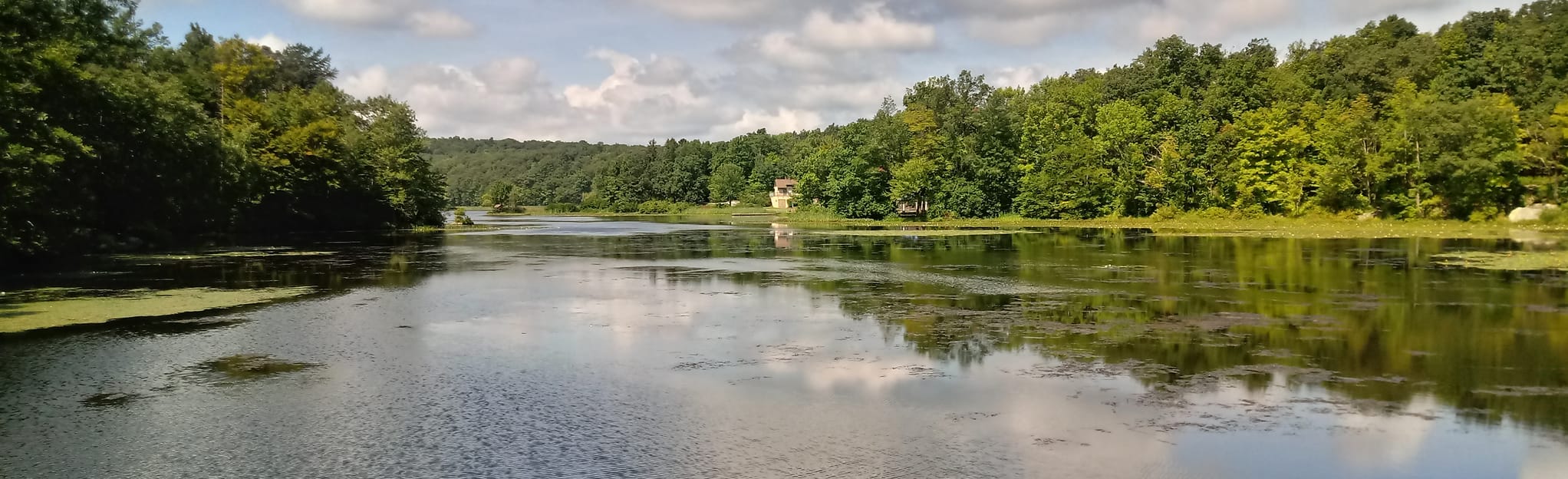Cherry Ridge Extended Loop, New Jersey - 66 Reviews, Map | AllTrails
