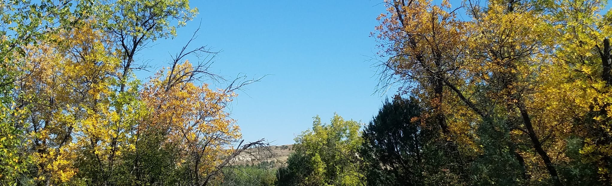 Elkhorn Ranch Unit Trail, North Dakota - 46 Reviews, Map | AllTrails