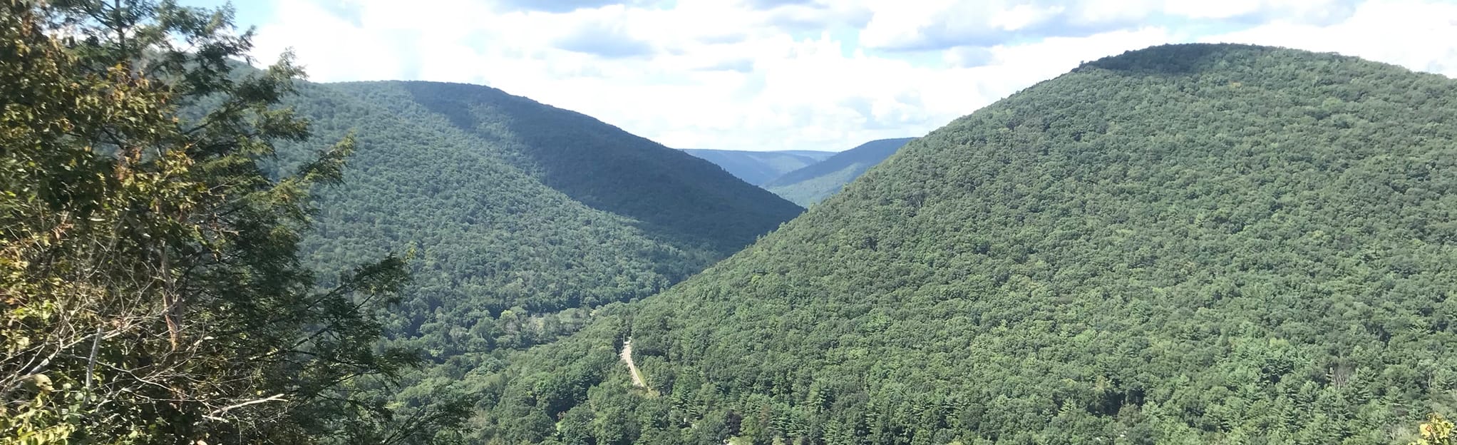 Tiadaghton, Tower, Ramsey and Mid-State Trail : 46 Reviews, Map ...