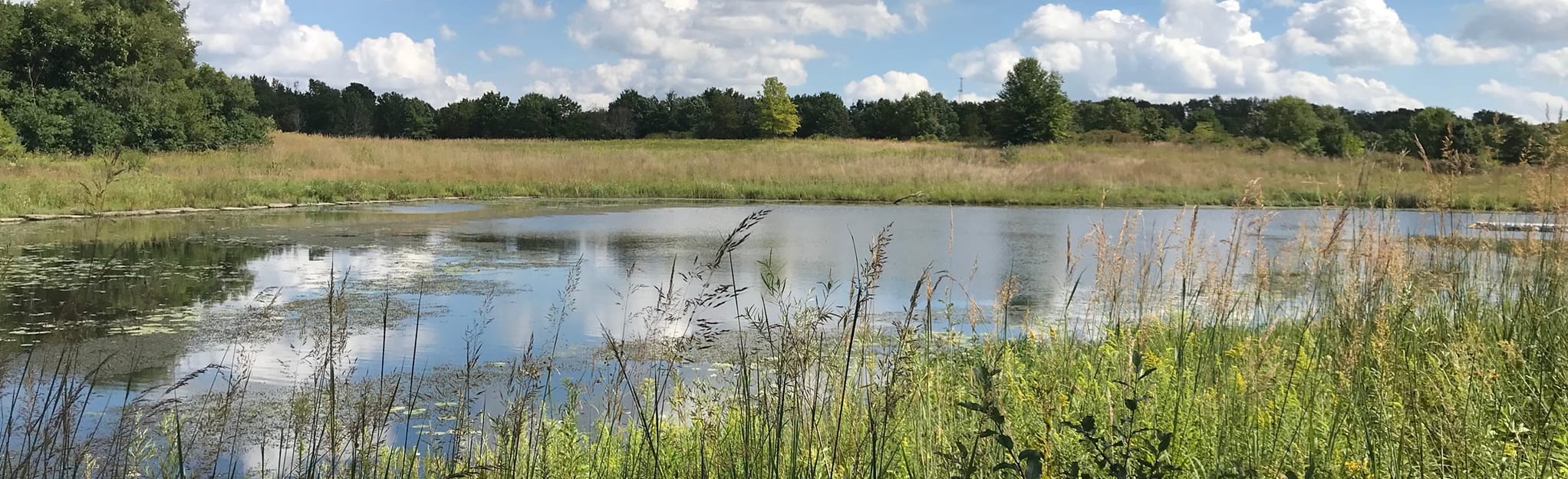 McKee Marsh Loop: 670 Reviews, Map - Illinois | AllTrails