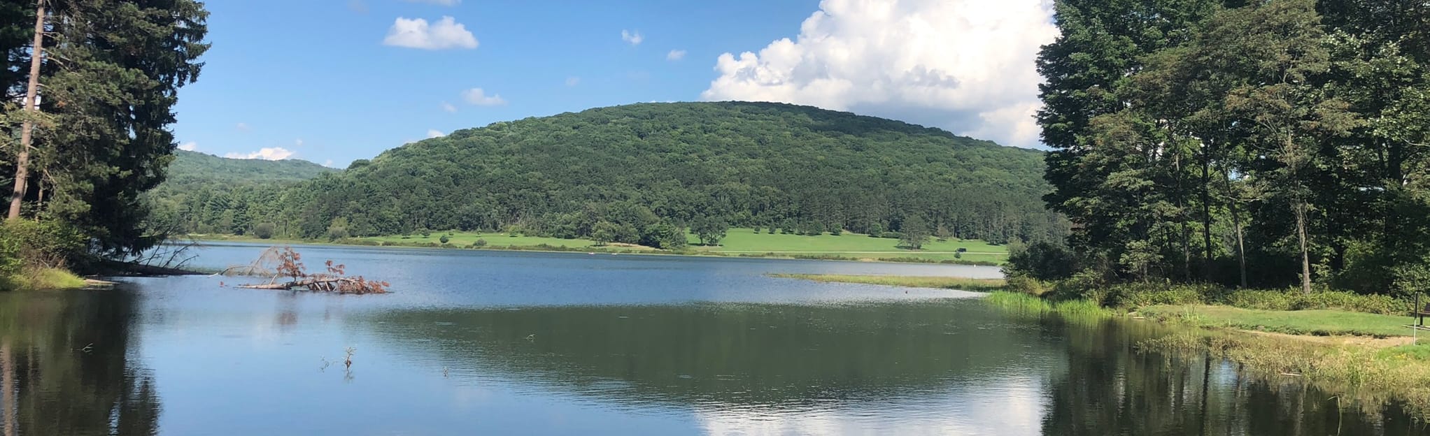 Red House Lake Loop, New York - 164 Reviews, Map | AllTrails