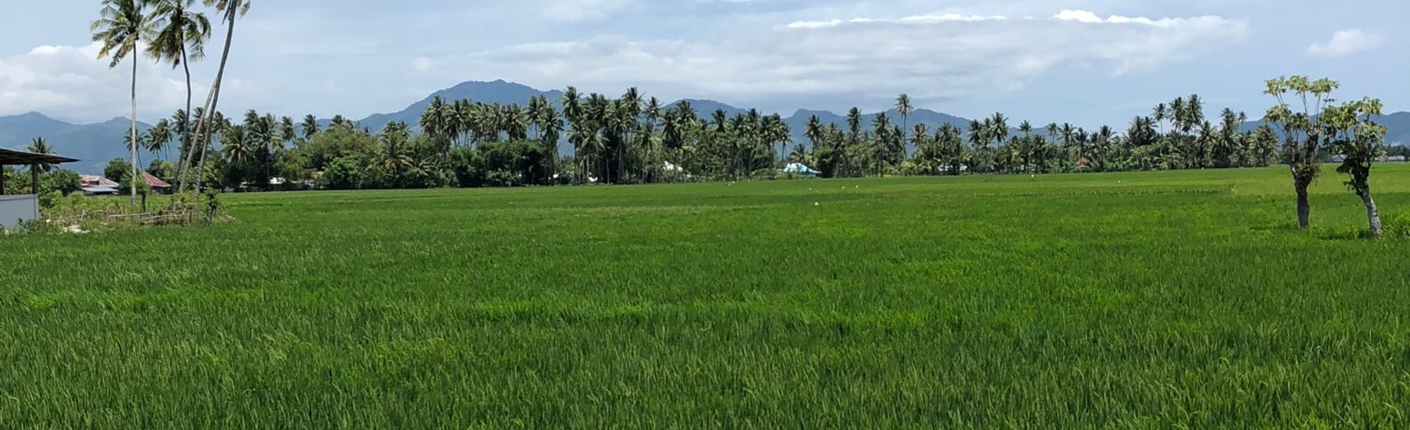 Bulotadaa - Pantai Botutonuo, Gorontalo, Indonesia - Map, Guide | AllTrails