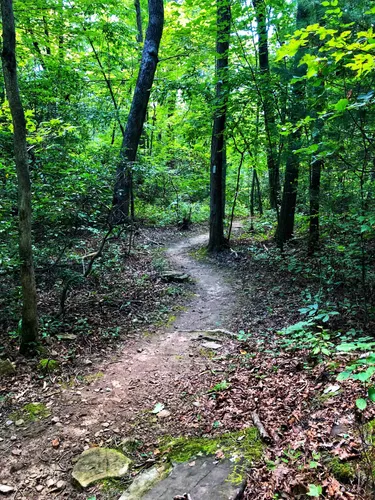 10 Best Trails and Hikes in Crossville | AllTrails