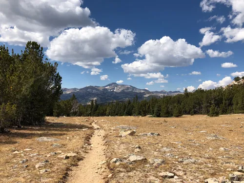 Best 10 Hiking Trails in Shoshone National Forest | AllTrails