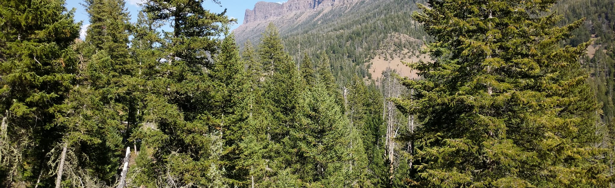 Pahaska Sunlight Trail - Wyoming | AllTrails