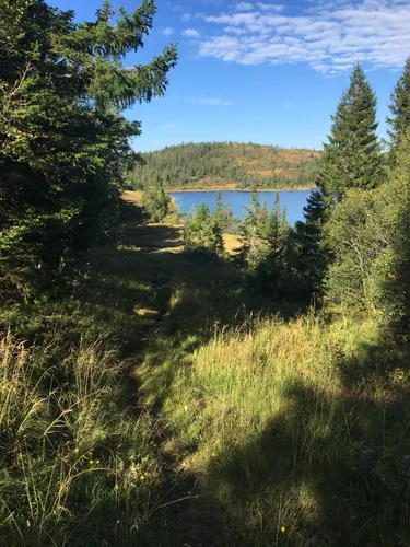 10 Best Hikes and Trails in Bymarka nature reserve | AllTrails