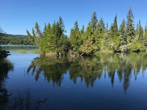 10 Best Hikes and Trails in Isle Royale National Park | AllTrails