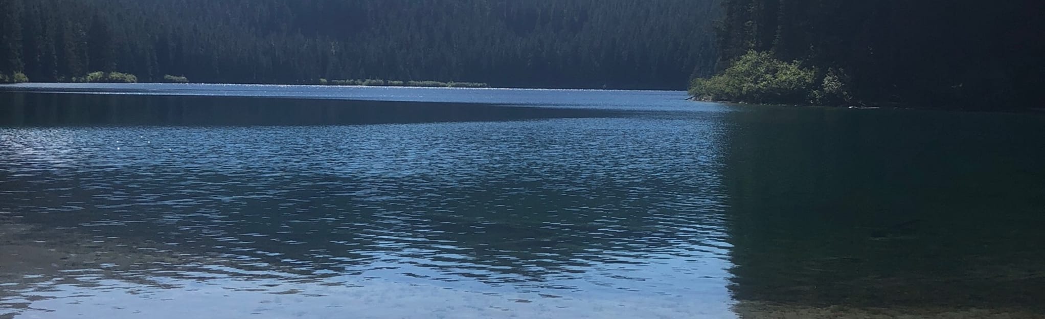 Blue Lake Ridge Trail - Washington | AllTrails