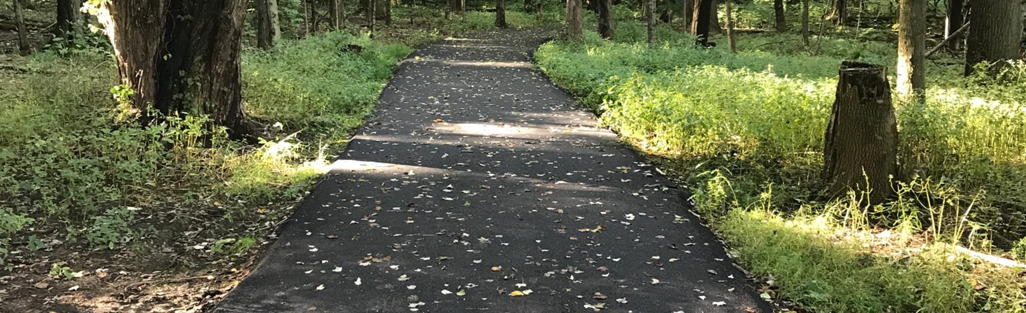 Tulip Tree Trail and Deer Run Trail, Ohio - 284 Reviews, Map | AllTrails