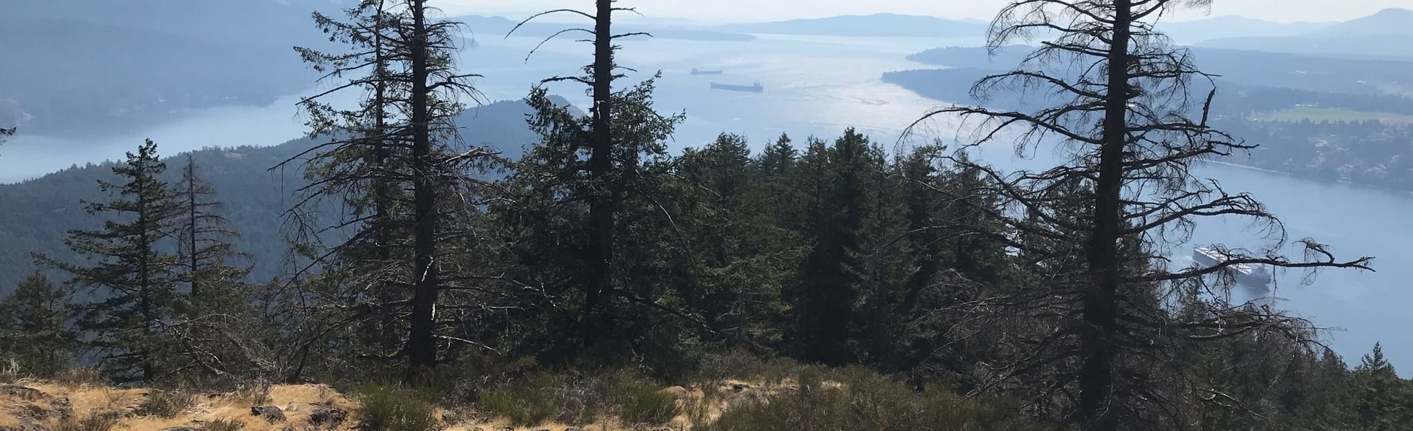 Genoa Bay Mad Dog Trail: 176 Reviews, Map - British Columbia, Canada ...