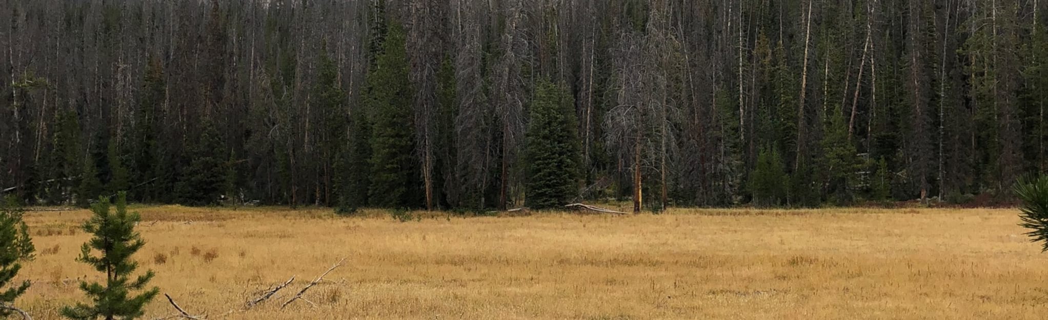 Jordan Lake via Highline and Naturalist Basin Trails, Utah - 241 ...