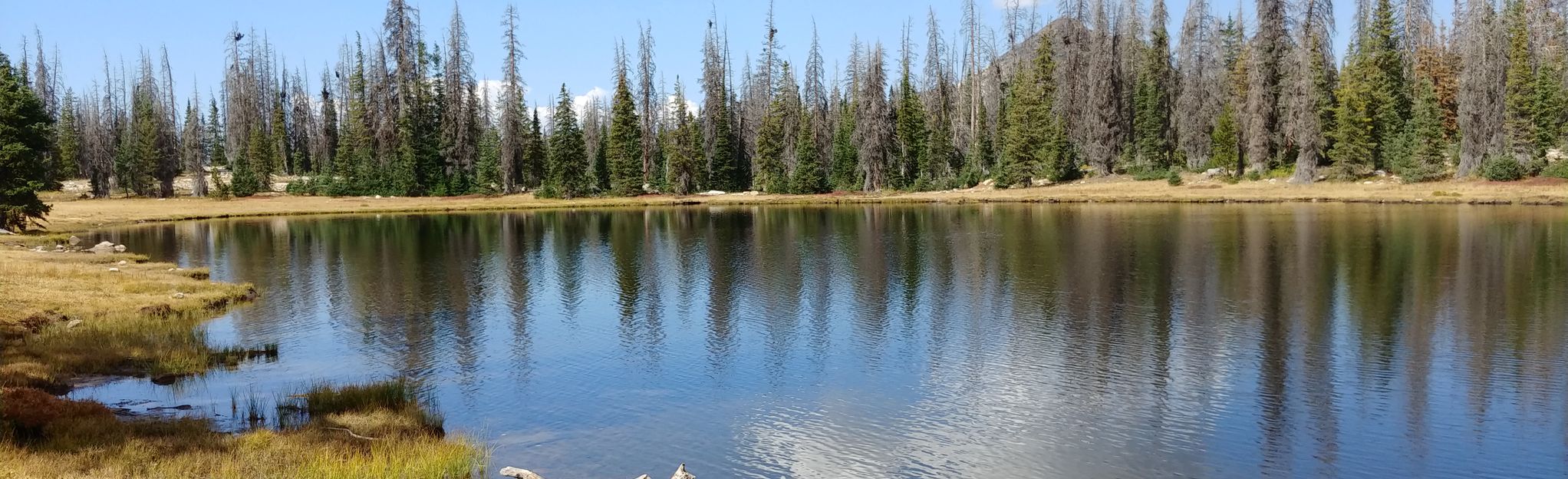 Lillian Lake via Lakes Country Trail, Utah - 73 Reviews, Map | AllTrails