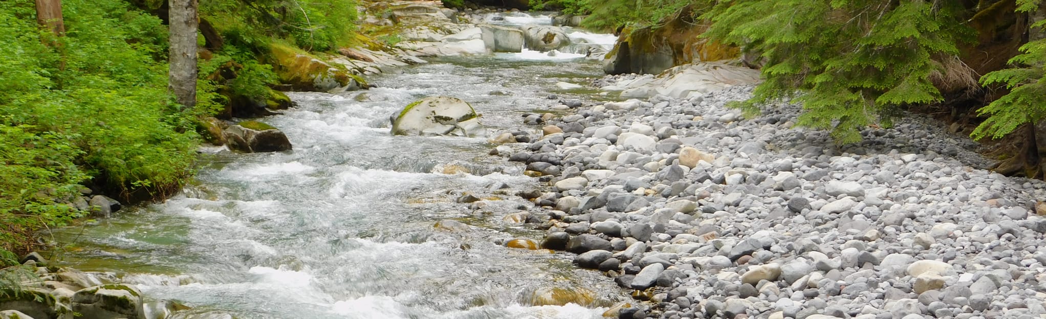 Stevens Creek Trail, Washington - 46 Reviews, Map | AllTrails