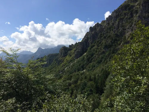 Best Forest Trails in Valli del Pasubio | AllTrails
